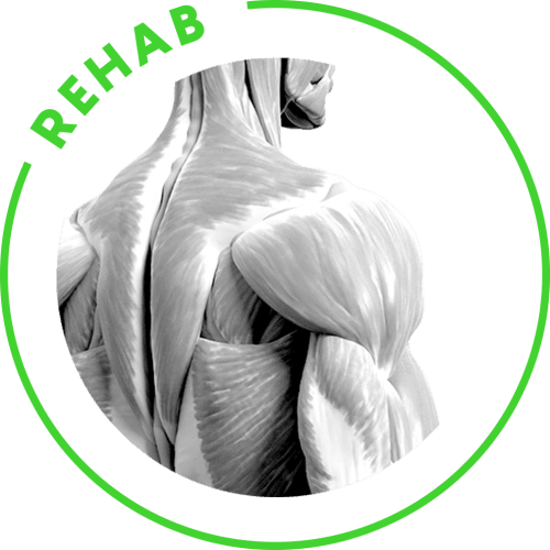 Rehab U Upper And Lower Body Mobility Program Combo