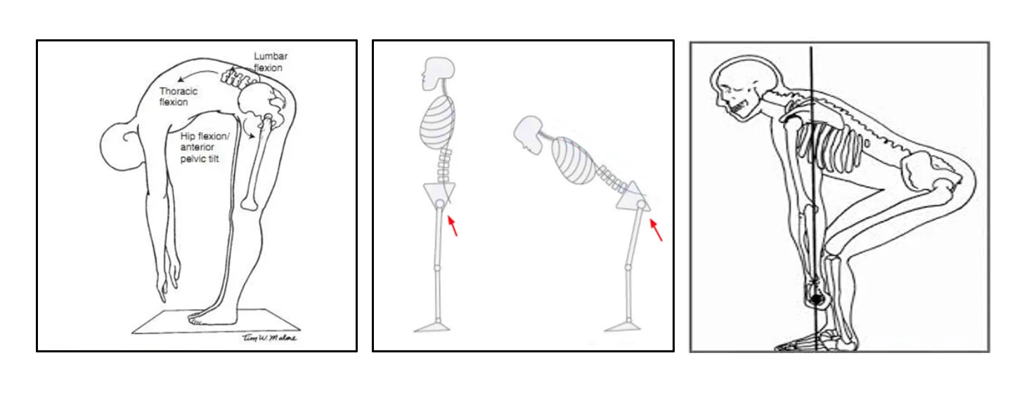 Hinge Spine