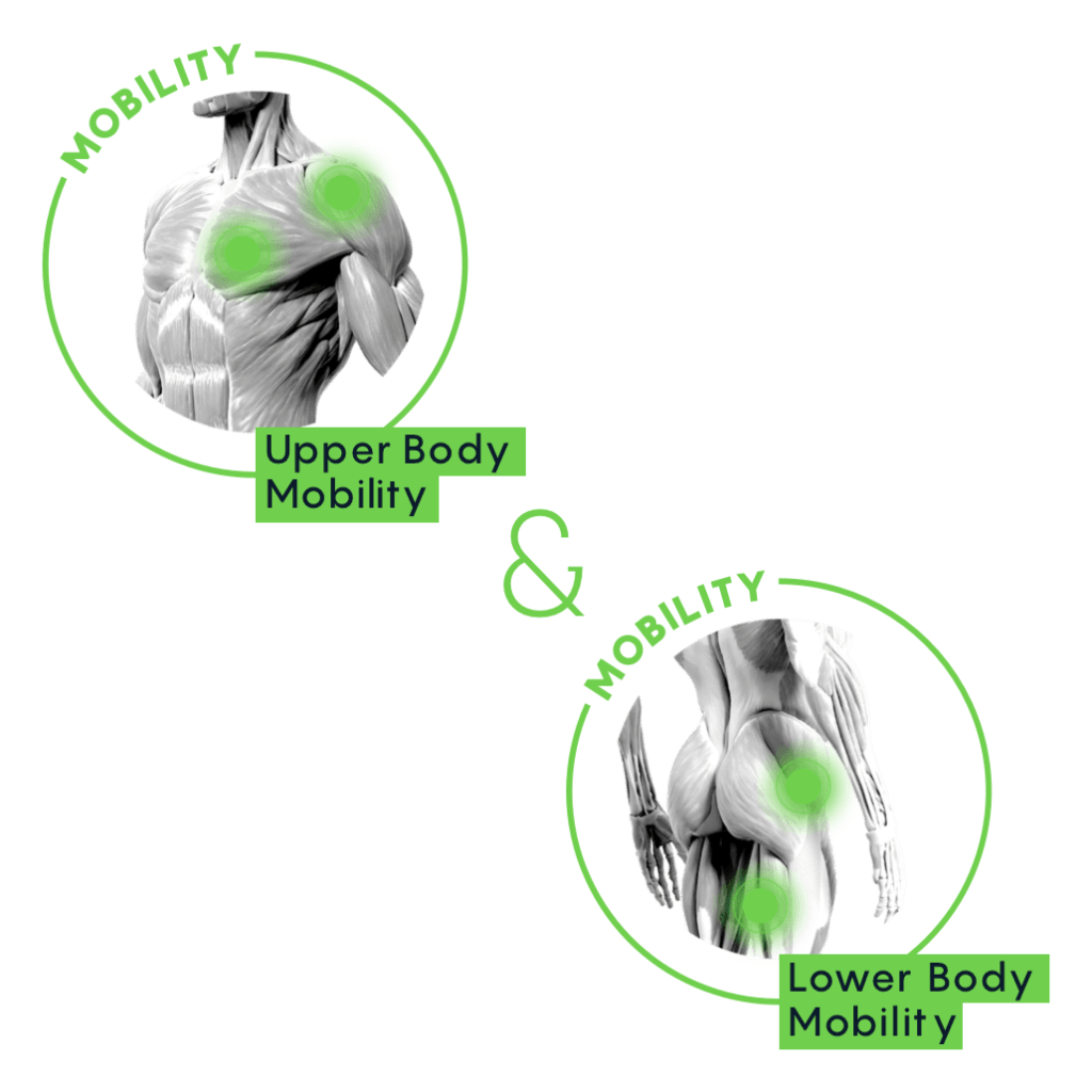 Rehab U Upper And Lower Body Mobility Program Combo
