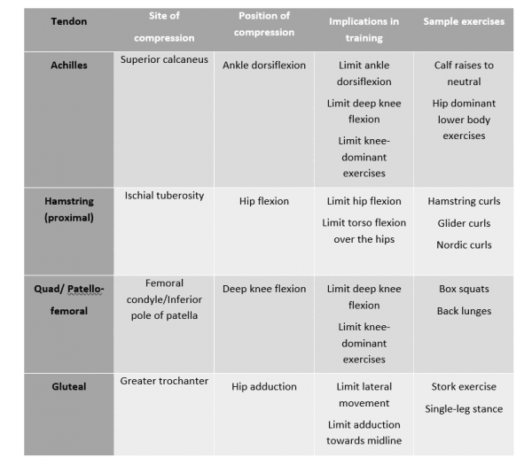 Stop Stretching for Tendinopathy | Rehab-U BLOG