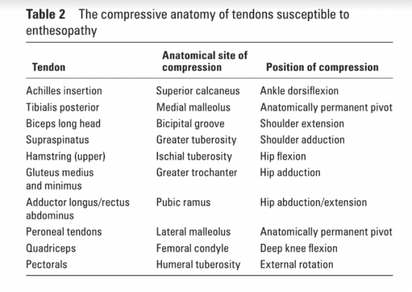 Stop Stretching for Tendinopathy | Rehab-U BLOG
