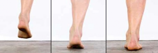 Gait – A Foundation for Performance | Rehab-U BLOG